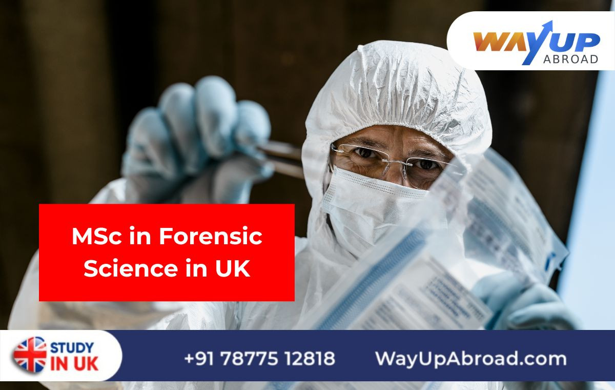 MSc in Forensic Science in UK, Top Universities, Admission Process ...